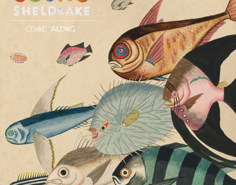 Cosmo Sheldrake、久しぶりのシングル 'Come Along'を公開 | Niche Music