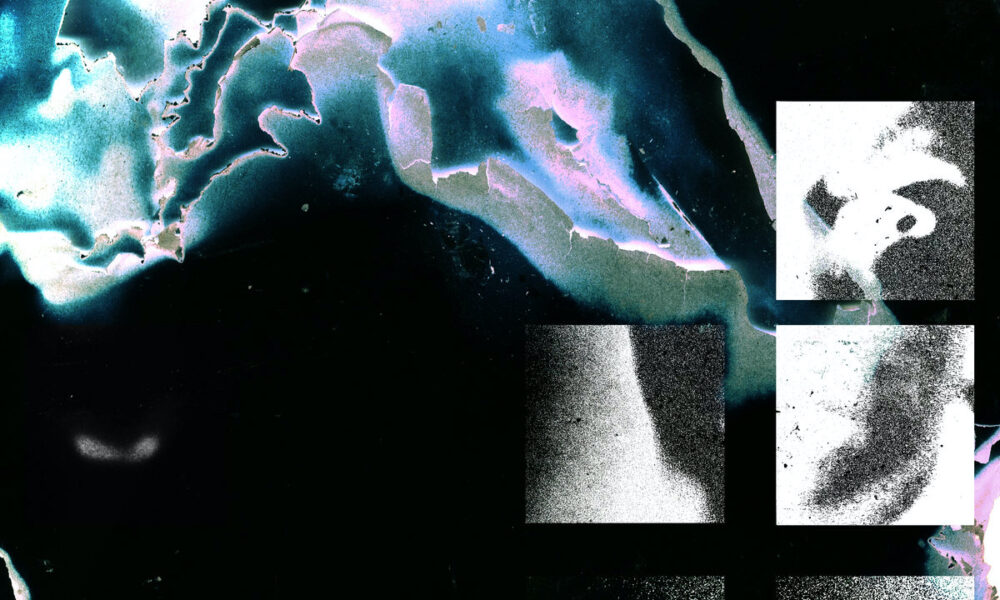 King Yosef、'Fair Bloom'のMVを公開 | Niche Music