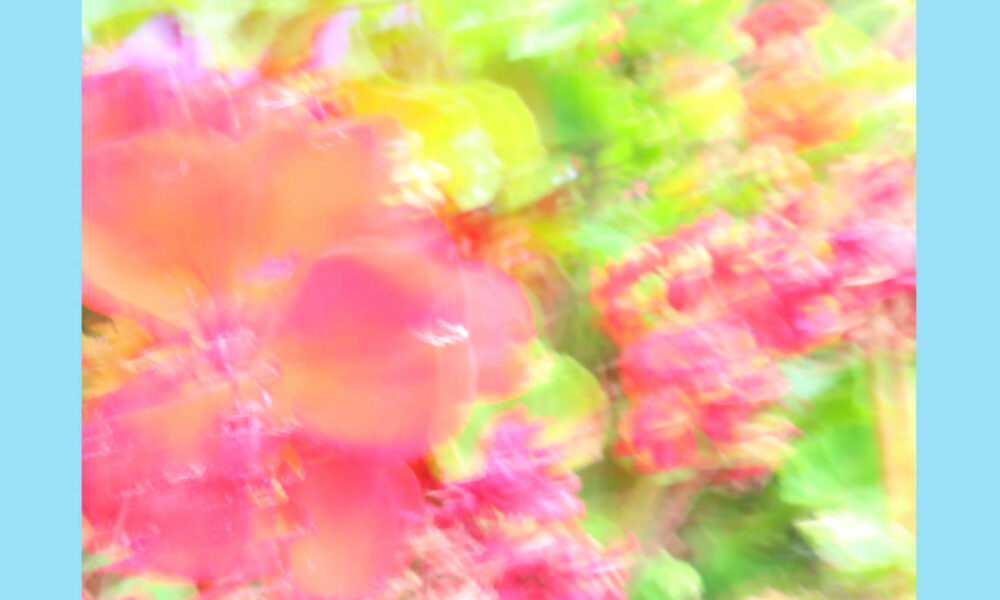 Alex Siegel、'False Alarm'を公開 | Niche Music