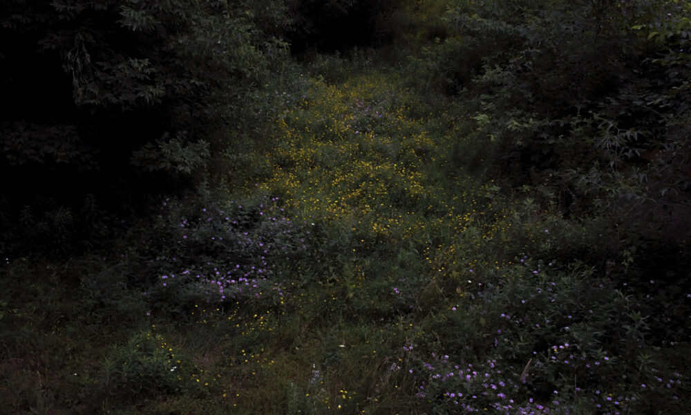 KABEAUSHÉ、'I DON'T NEED YOU, SO YOU COULD TELL ME IF I'M GUD'のMVを公開 ...