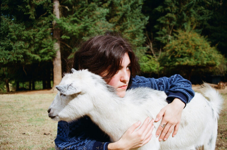 Searows、'End Of The World'のMVを公開 | Niche Music