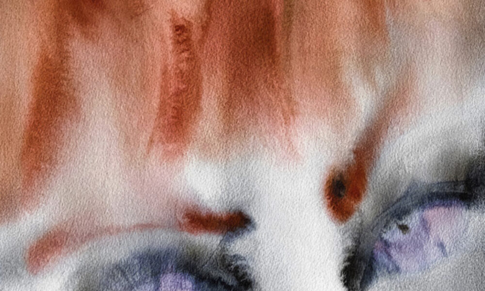 Pearly Drops、'Ratgirl'のMVを公開 | Niche Music